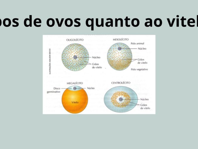 O que é partenogênese? - Biologia Resolvida